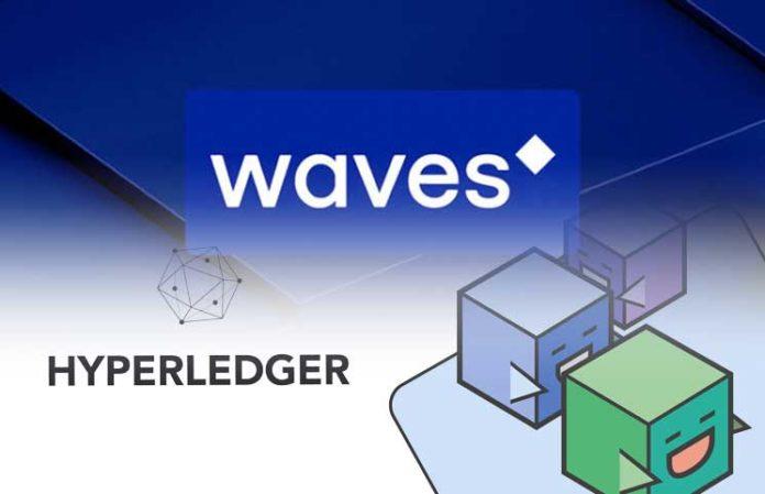 Meme Coin là gì? Toàn tập về Trend Memecoin gây sốt - xgems.net