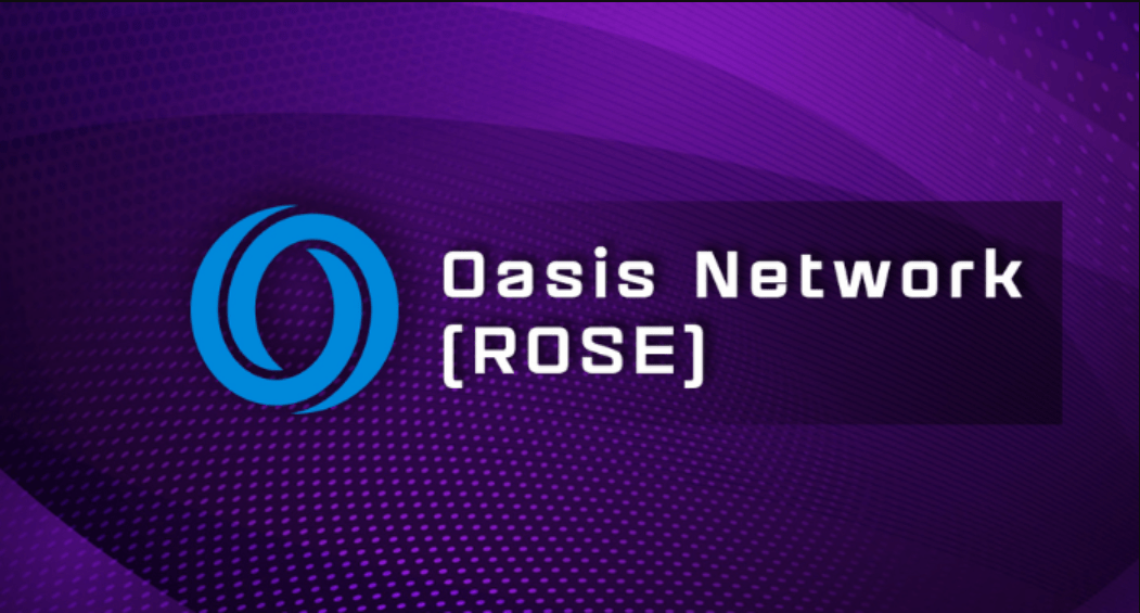 Oasis Network (ROSE) - Tổng quan về dự án Oasis Network - xgems.net