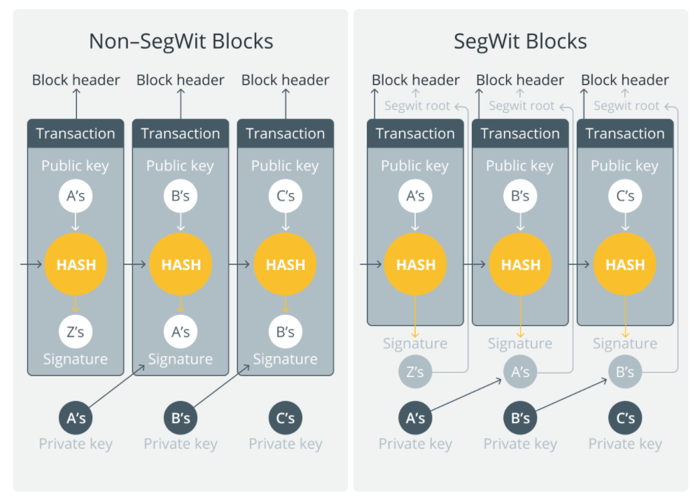 SegWit là gì? Cách hoạt động của Segwit trong Blockchain - xgems.net
