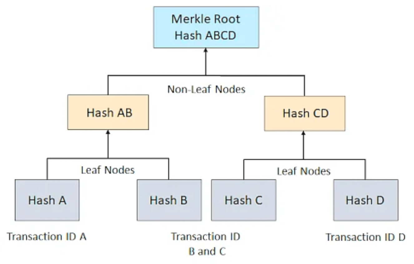 Merkle Tree là gì? Tầm quan trọng của Cây Merkle trong Blockchain ...