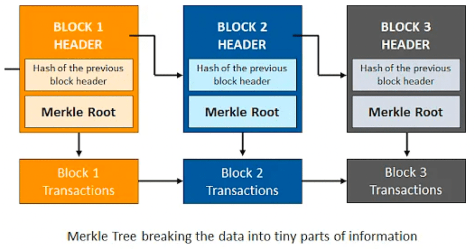 Merkle Tree là gì? Tầm quan trọng của Cây Merkle trong Blockchain ...