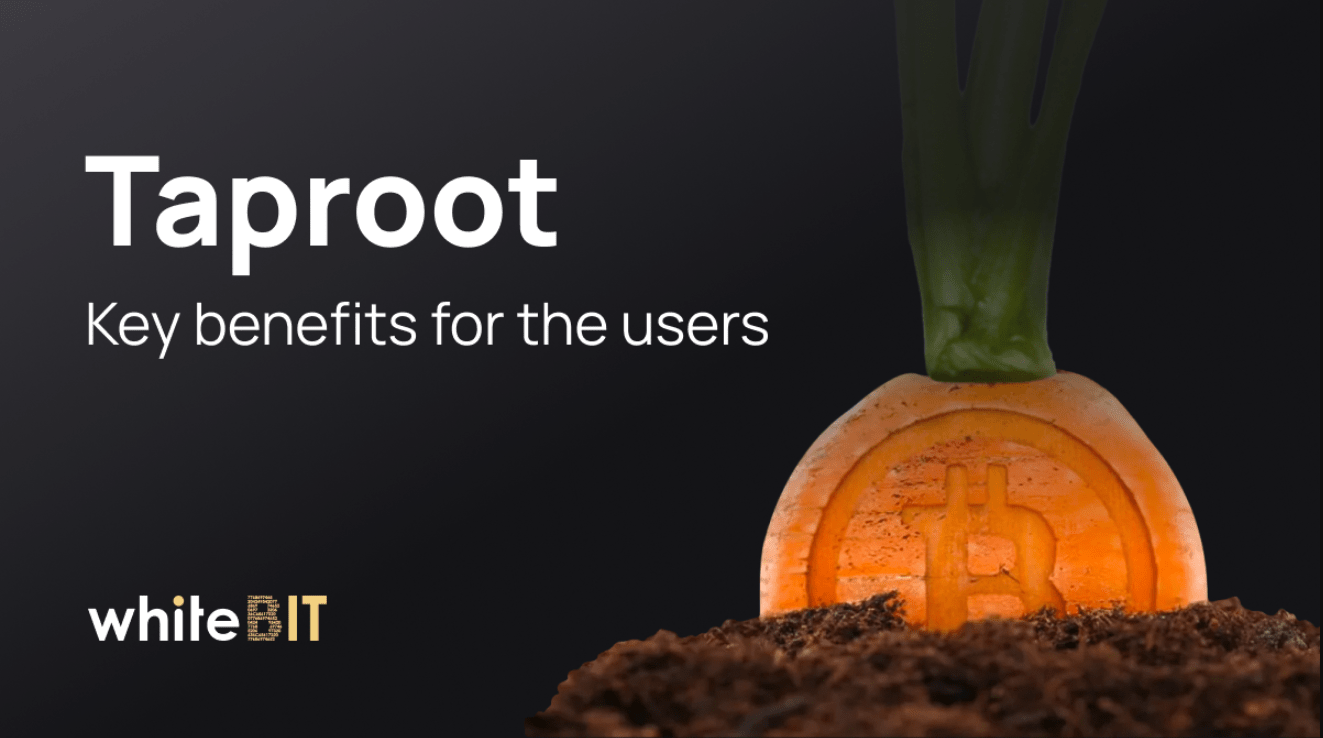 Taproot là gì? Những điều cần biết về nâng cấp Taproot của Bitcoin ...