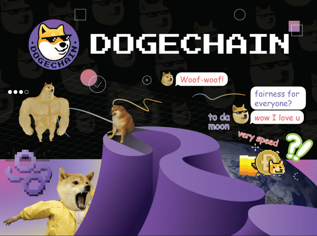 Dogechain là gì? Toàn tập về tiền điện tử DC - xgems.net