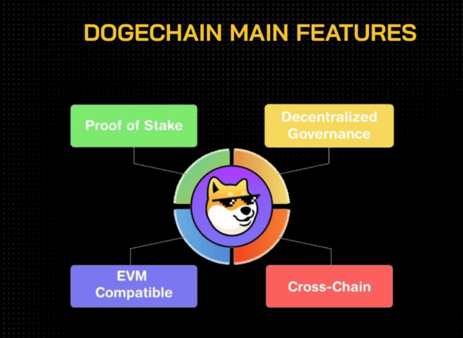 Dogechain là gì? Toàn tập về tiền điện tử DC - xgems.net
