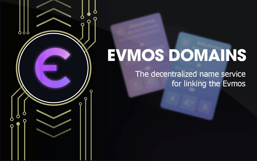 Evmos Domain là gì? Tổng quan về dự án Evmos Domain - xgems.net