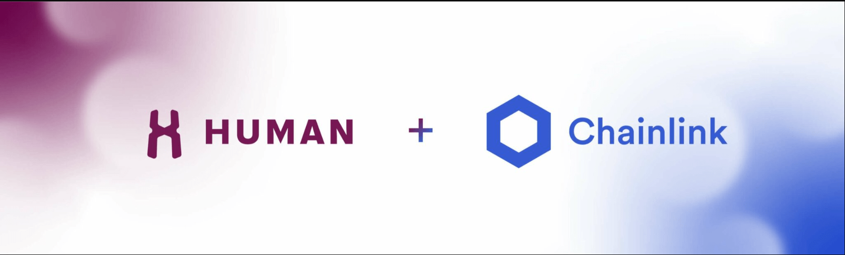 HUMAN Protocol (HMT) là gì? Tổng quan về dự án HUMAN - xgems.net