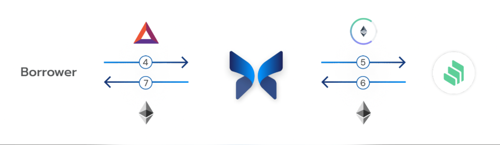 Morpho Protocol là gì? Toàn tập về tiền điện Morpho - xgems.net